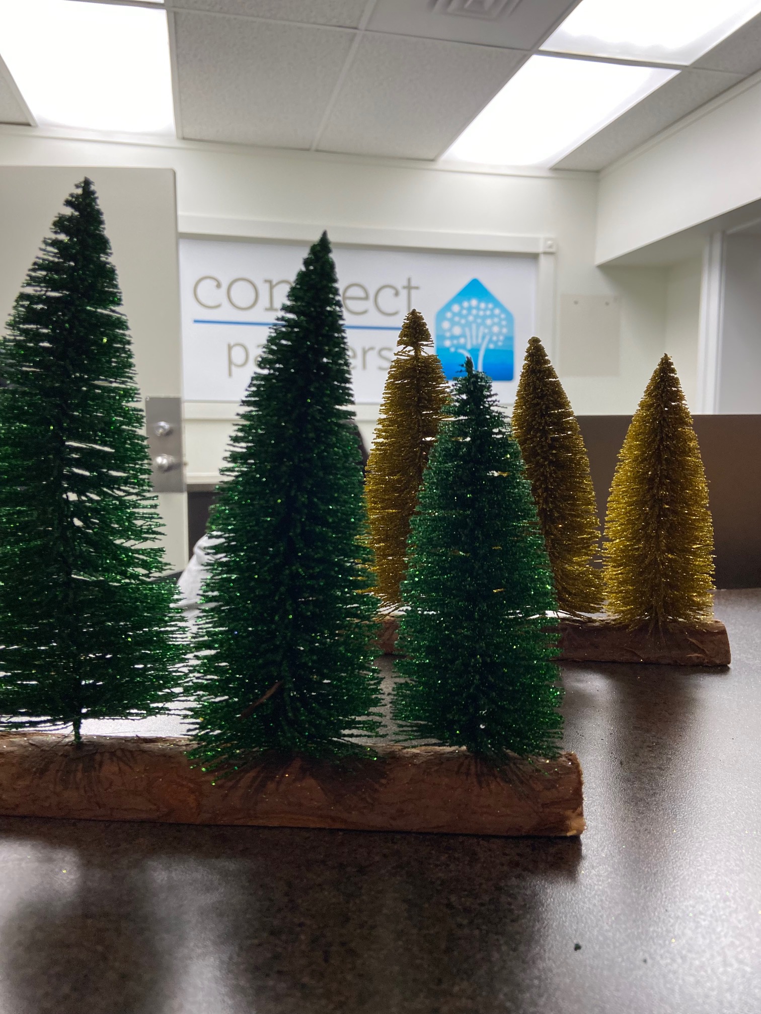 Holiday Coffee Break for CONNECT Partners Coaches - Connect Partners